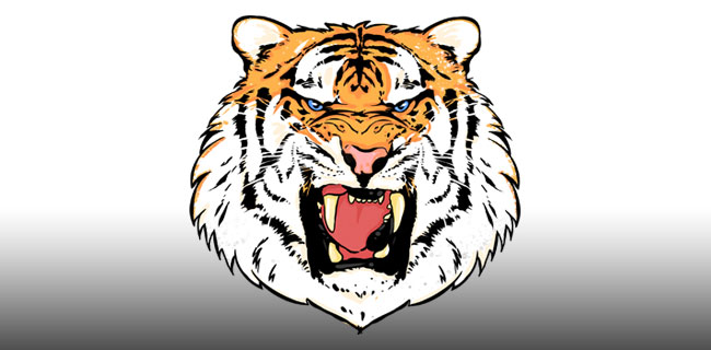 ASCI: Toothless Tiger or Scapegoat? - MxMIndia